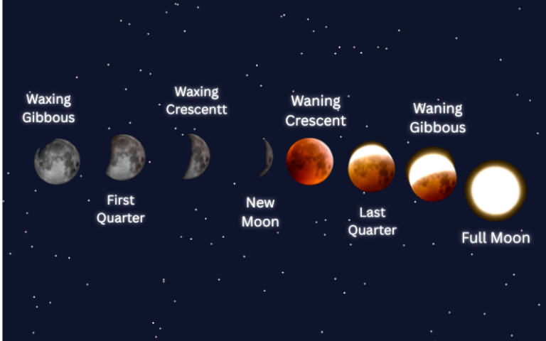 effects-of-moon-phases-on-humans-a-lunar-rhythm-guide
